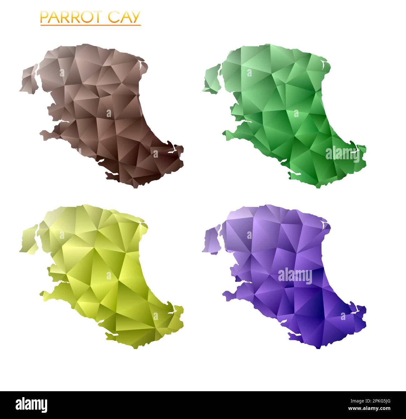 Set of vector polygonal maps of Parrot Cay. Bright gradient map of ...
