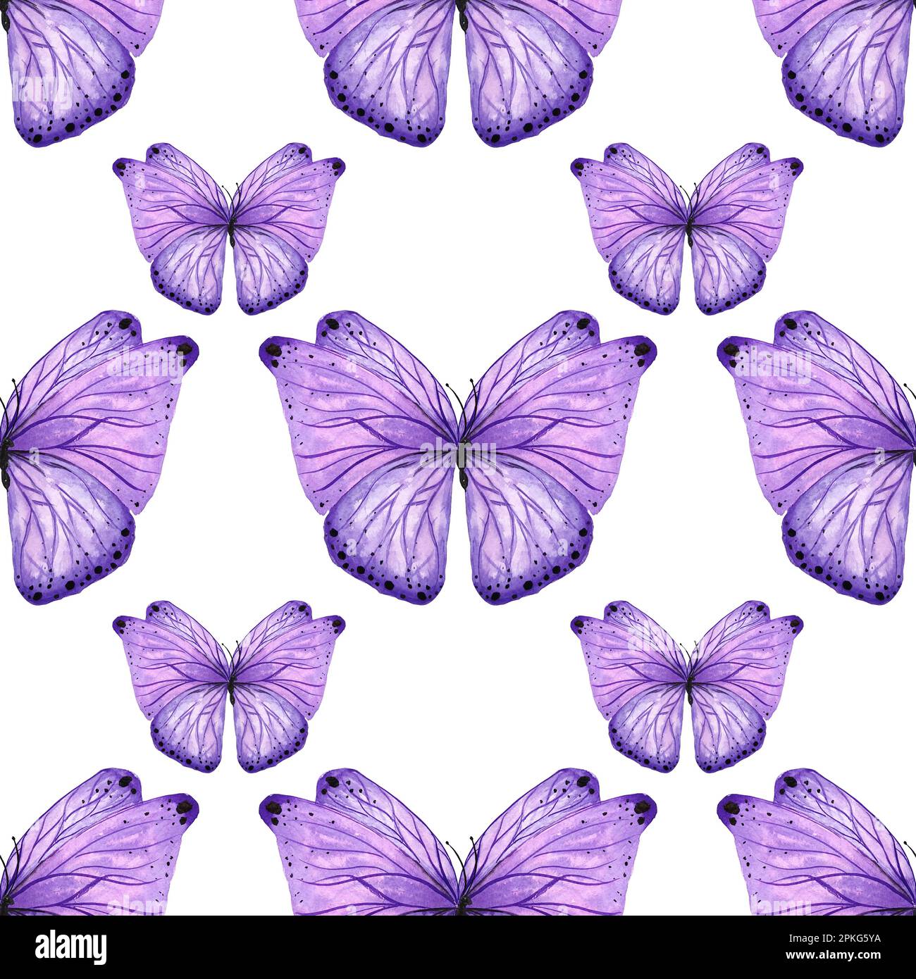Watercolor purple butterfly seamless pattern. Hand-painted botanical ...