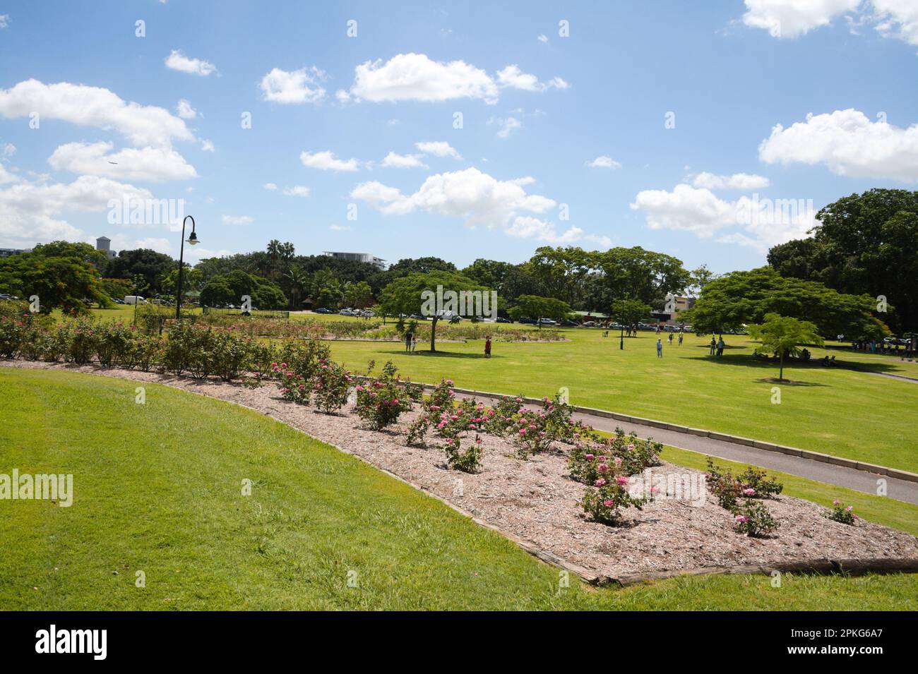 New Farm Park Flowers Stock Photo - Alamy