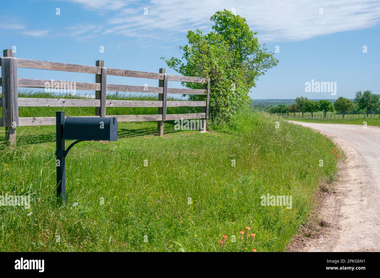A lush green Texas landscape in springtime Stock Photo - Alamy