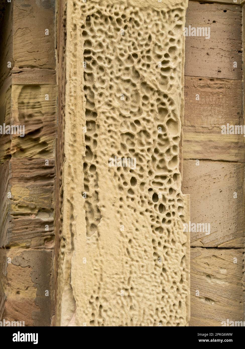 Honeycomb weathered dressed sandstone masonry building pillar, Calke ...