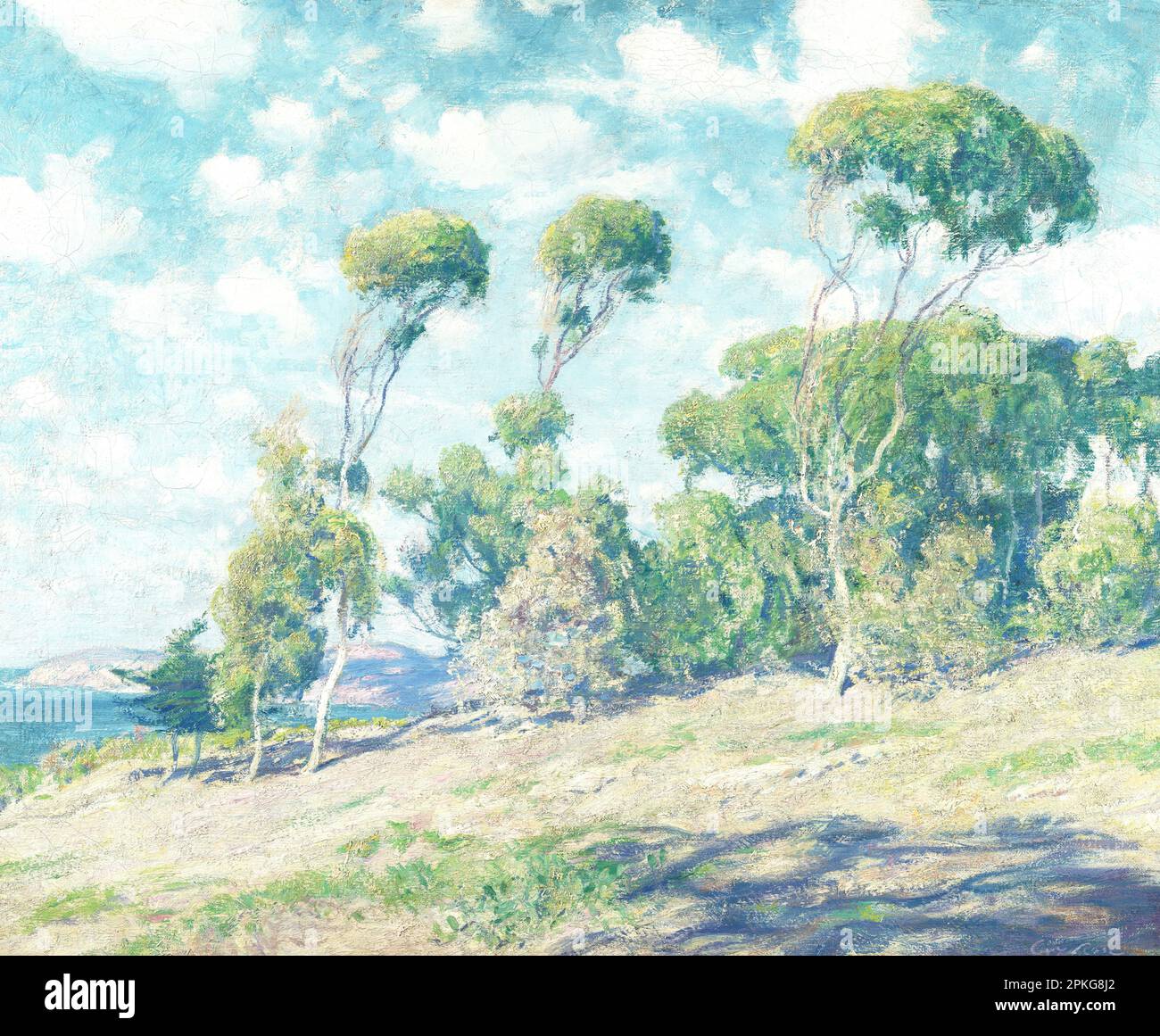 Laguna trees circa 1916 by Guy Rose Stock Photo - Alamy