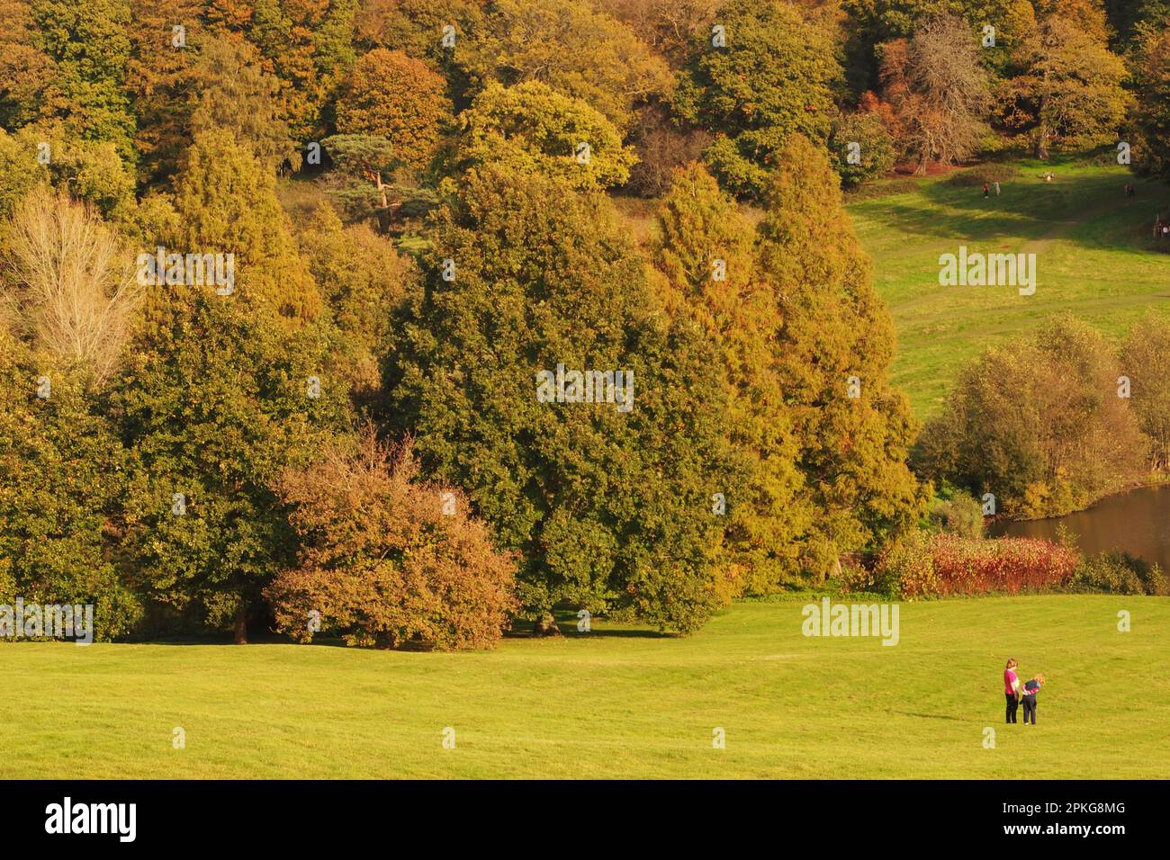 Two children, a boy and girl, in an autumn setting on grass with a ...