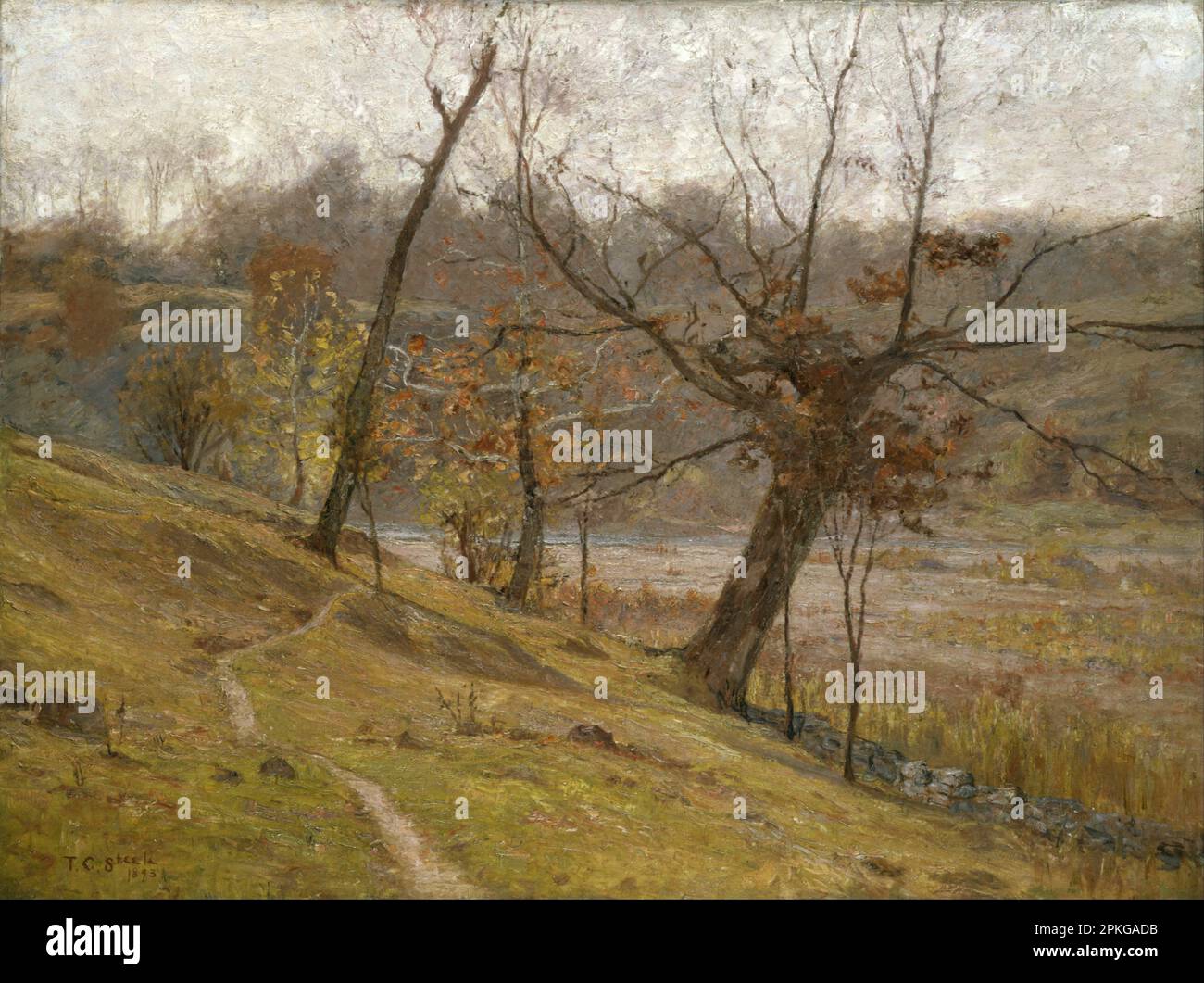 The Bloom of the Grape 1893 by Theodore Clement Steele Stock Photo - Alamy
