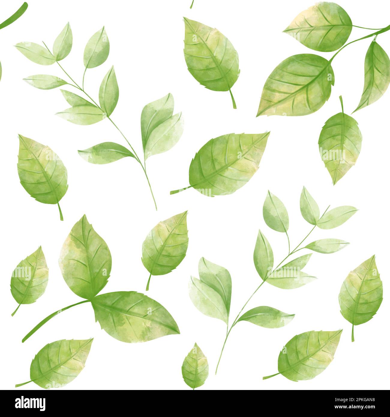 Green leaves roses pattern, watercolor clipart, hand drawing, botanical ...