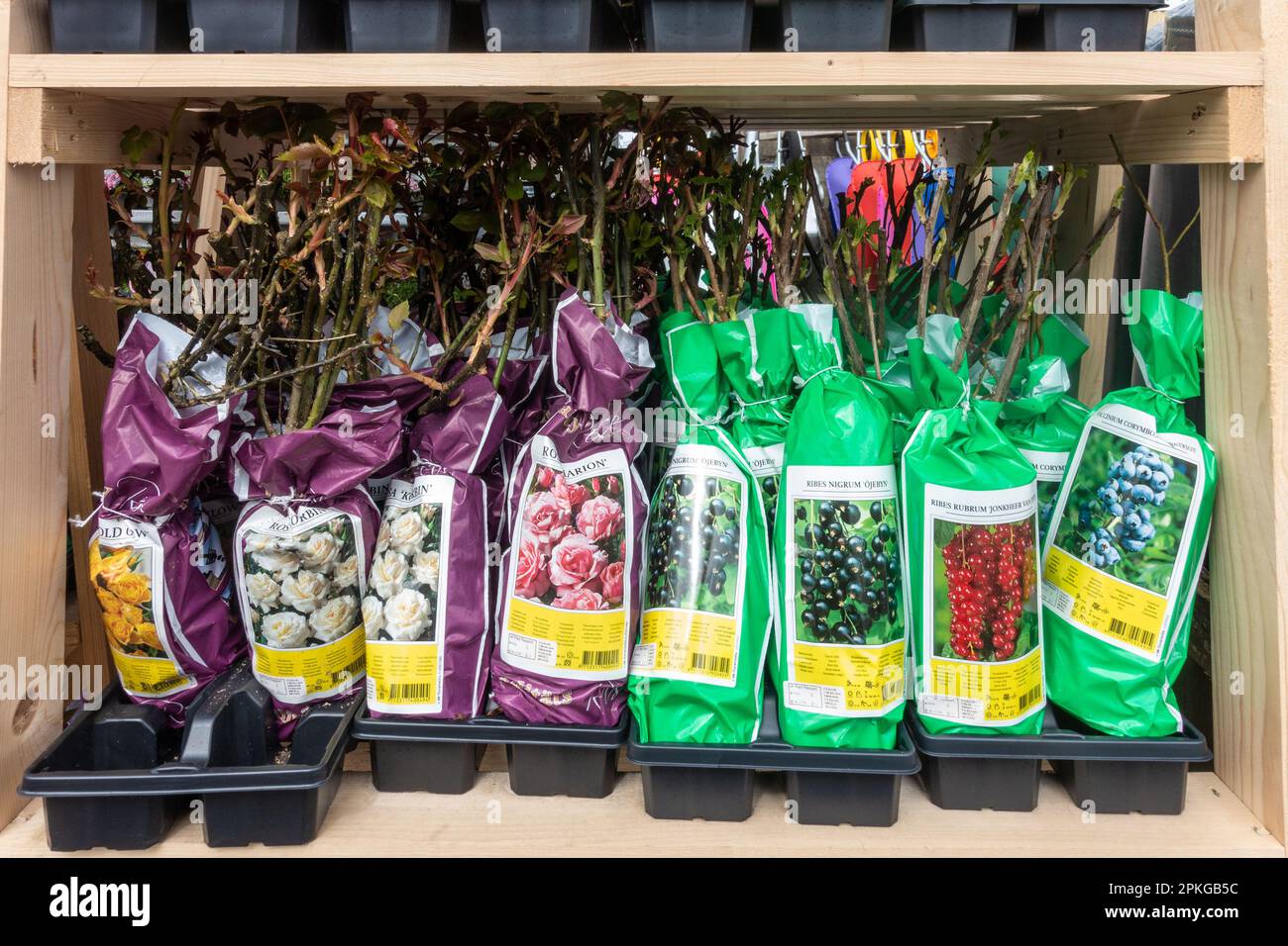 Plants bushes hi-res stock photography and images - Alamy