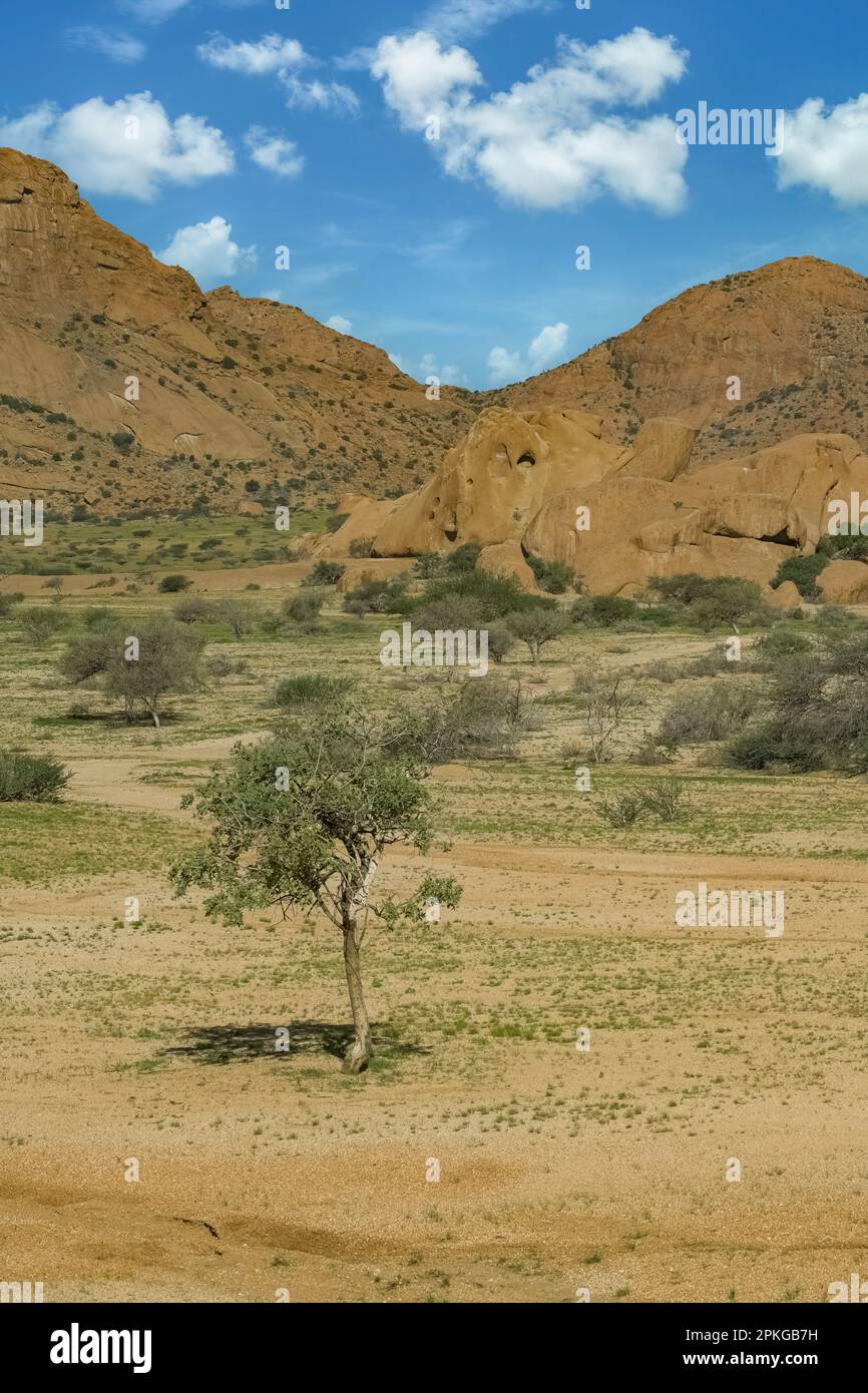 Namibia, the desert of Spitzkoppe in Damaraland, beautiful landscape ...
