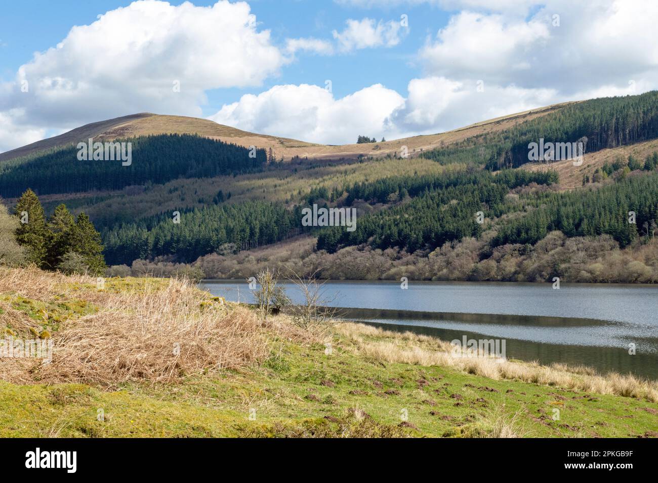 Looking down the Talybont Reservoir in the Brecon Beacons towards a ...