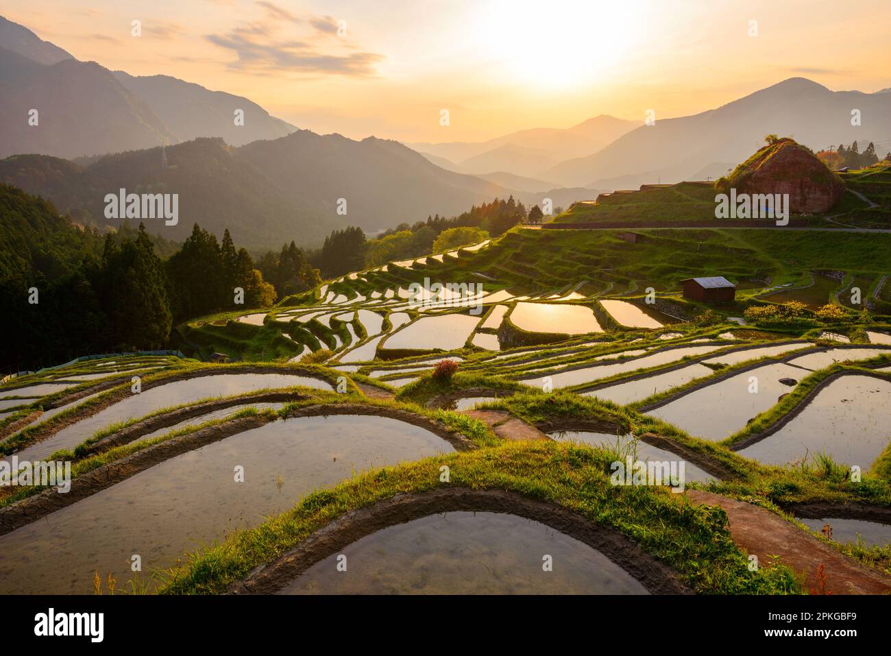 Rice terraces at sunset in Maruyama-senmaida, Kumano, Japan Stock Photo ...
