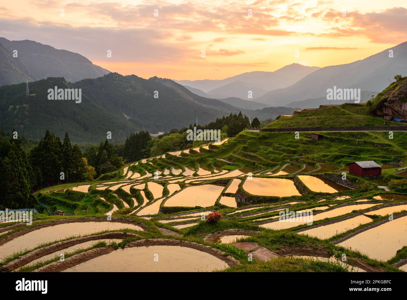 Rice terraces agricultural land in hi-res stock photography and images ...