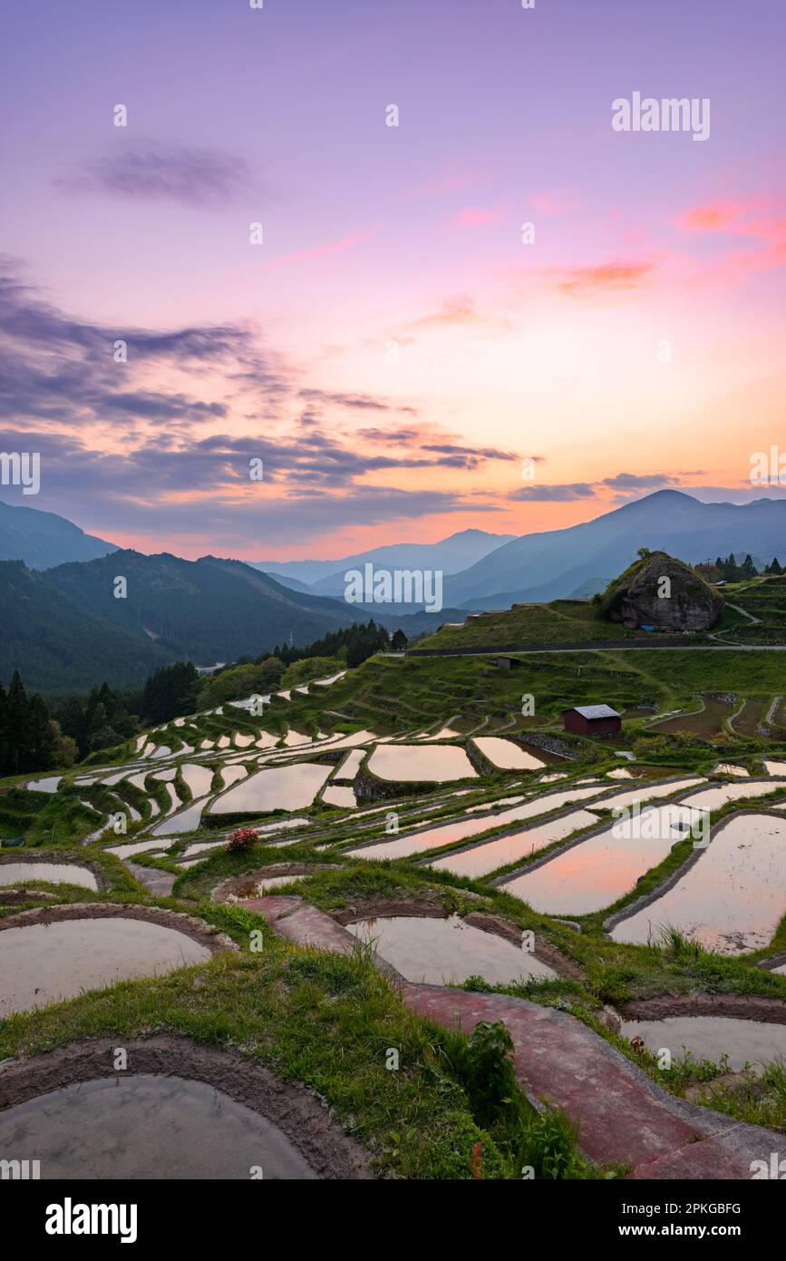 Japanese rice paddy scenery hi-res stock photography and images - Alamy