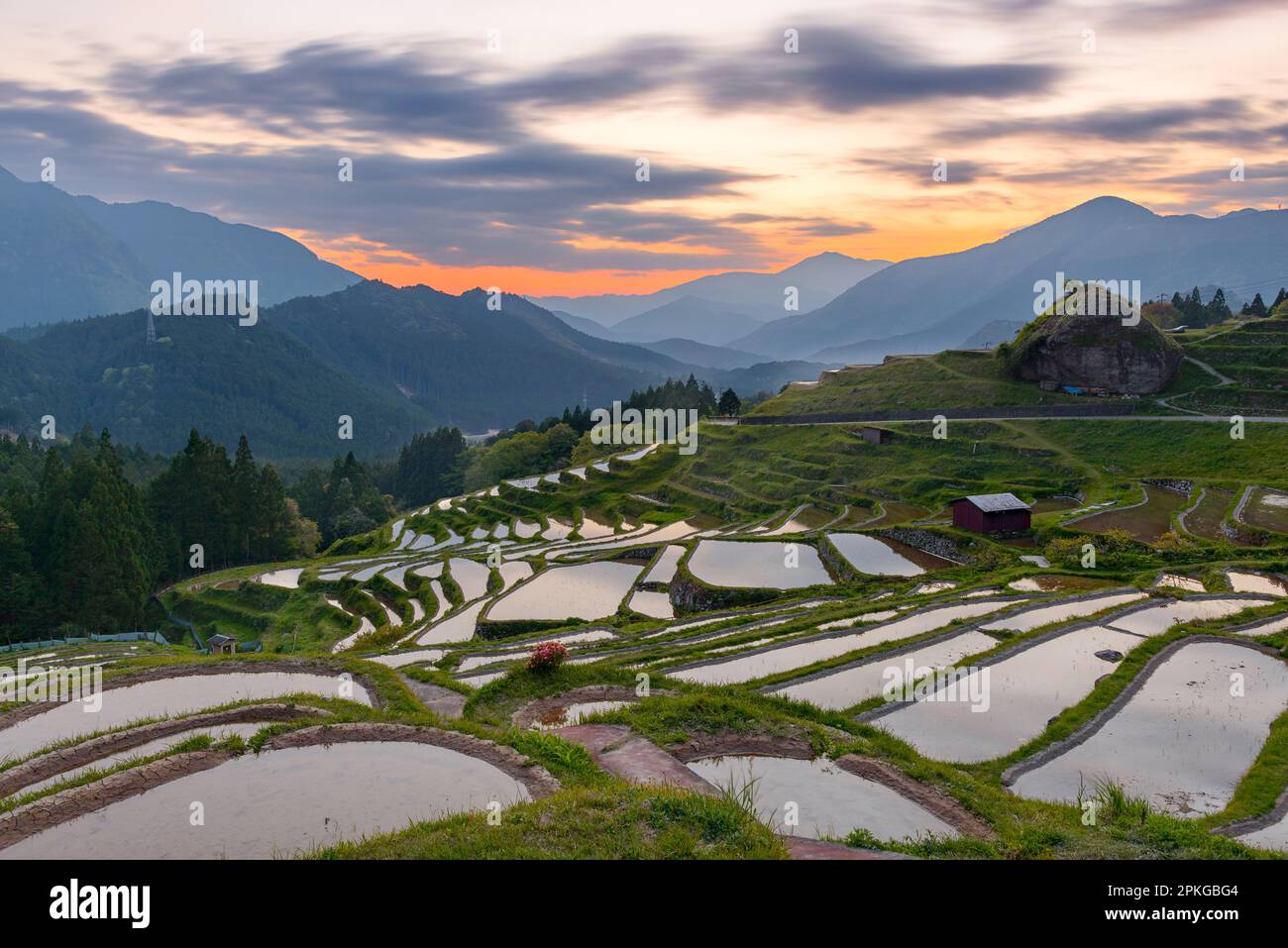 Rice terraces at sunset in Maruyama-senmaida, Kumano, Japan Stock Photo ...