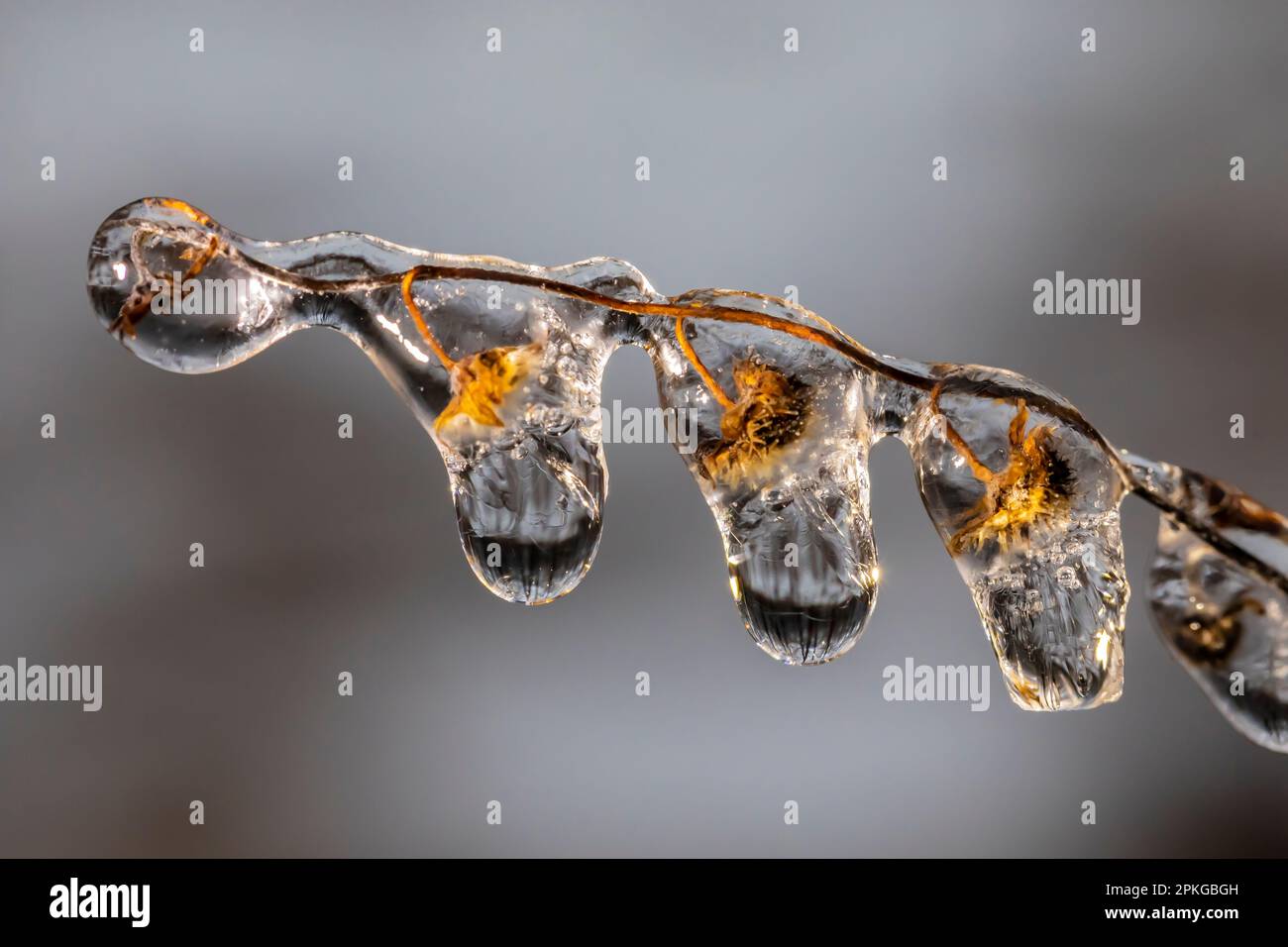 Melting witch hi-res stock photography and images - Alamy