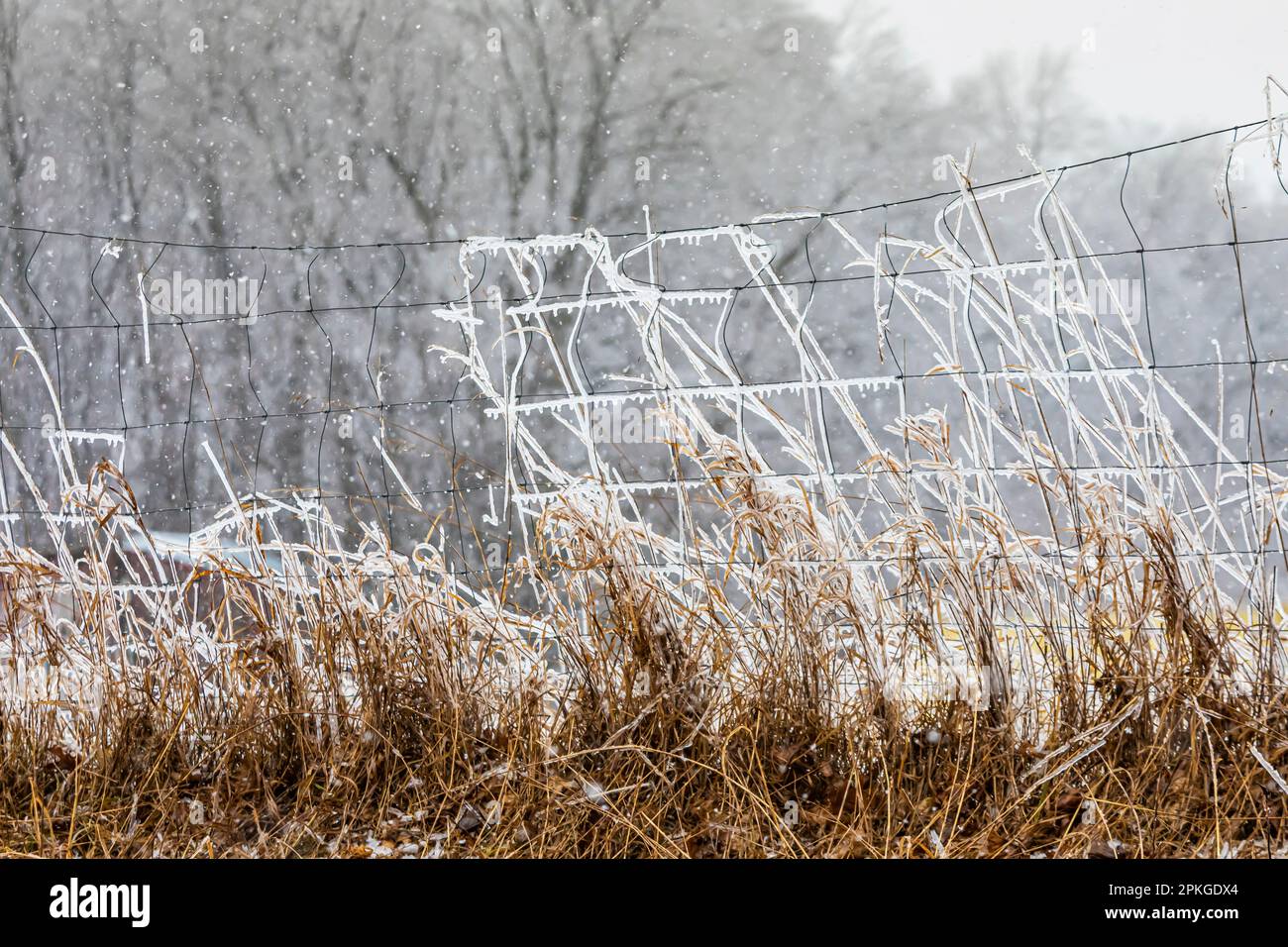 Ice coating a farm fence after an ice storm in March in central ...
