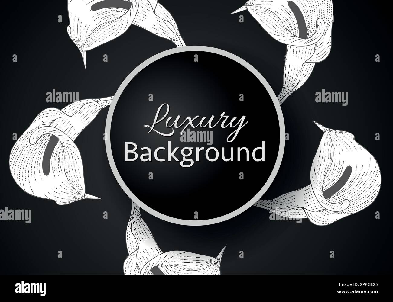 Elegant banner with intricate, parallel white lines on a dark ...