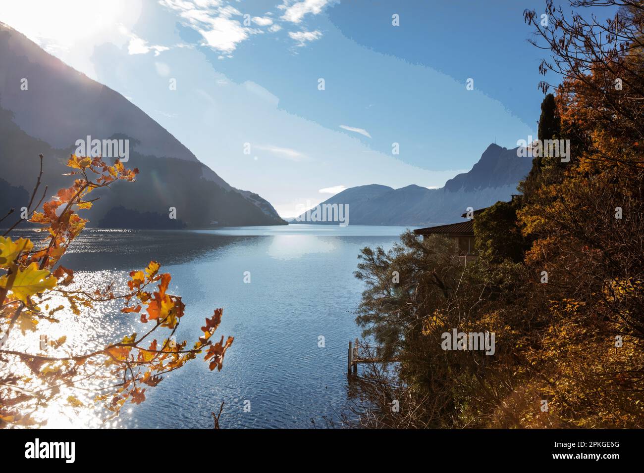Amazing sunny view on lake Lugano: ducks in water, some buildings ...
