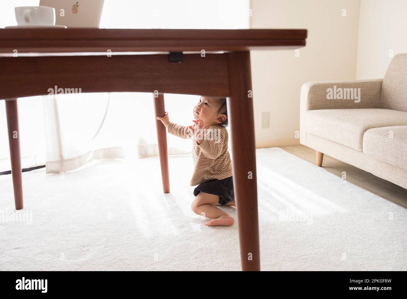 Baby trying to stand up by holding on to table Stock Photo - Alamy