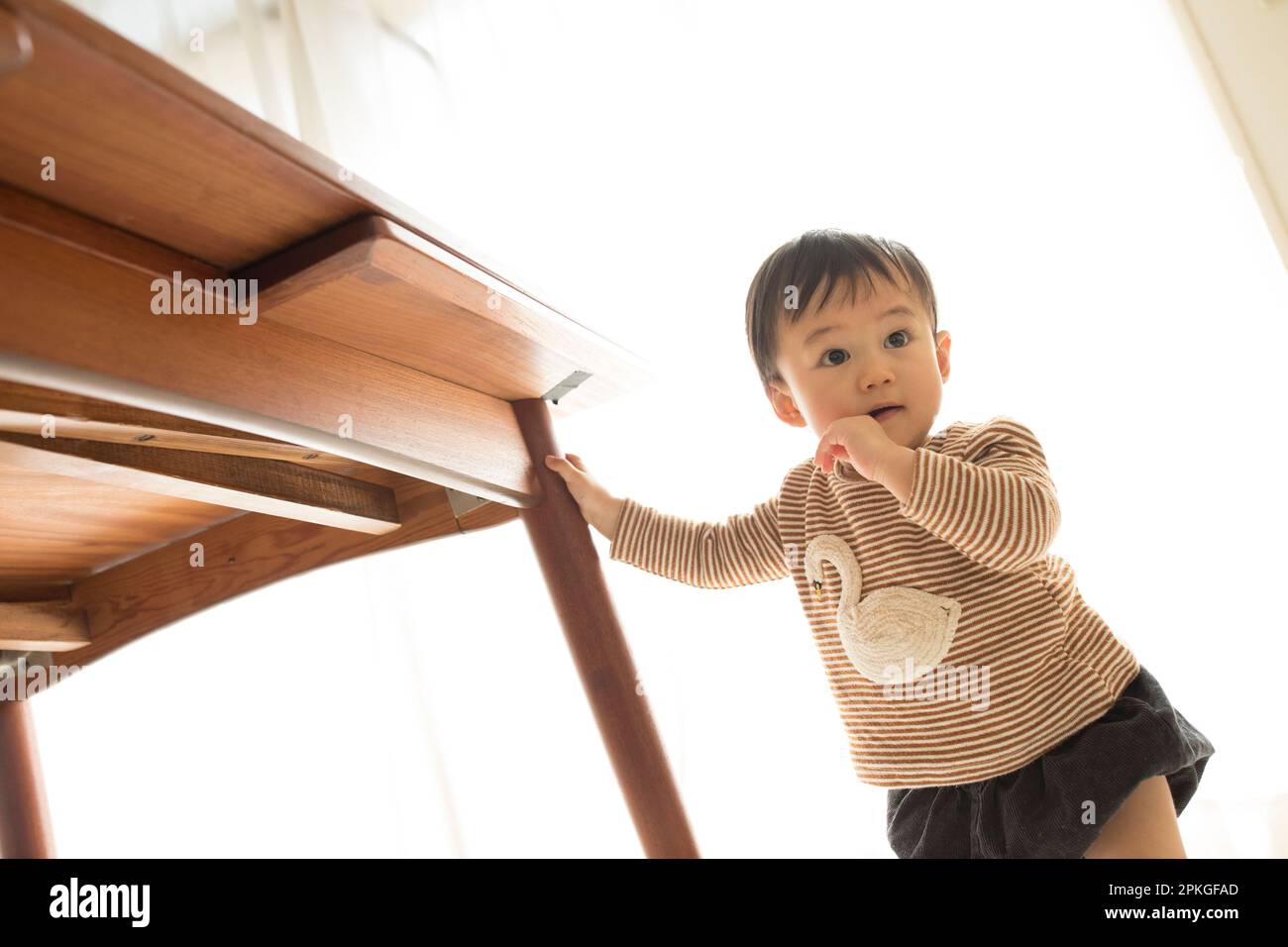 Boy stand two years hi-res stock photography and images - Alamy
