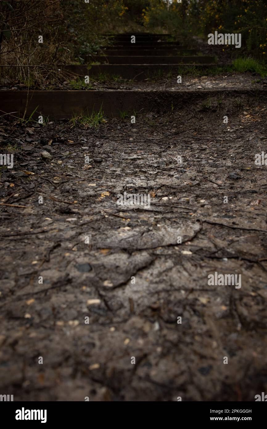 Footpath with steps hi-res stock photography and images - Alamy