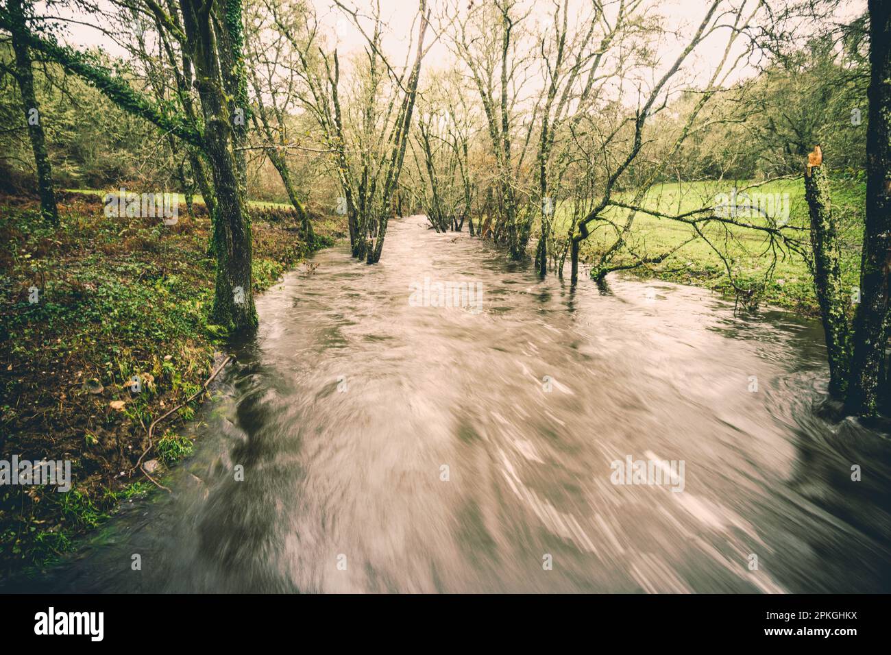 Turbulent stream community hi-res stock photography and images - Alamy