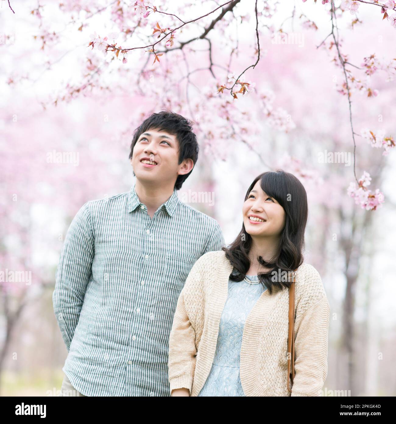 Good looking cherry blossoms hi-res stock photography and images - Alamy