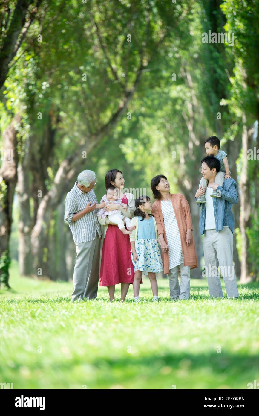 A family of three generations chatting among the poplar trees Stock ...