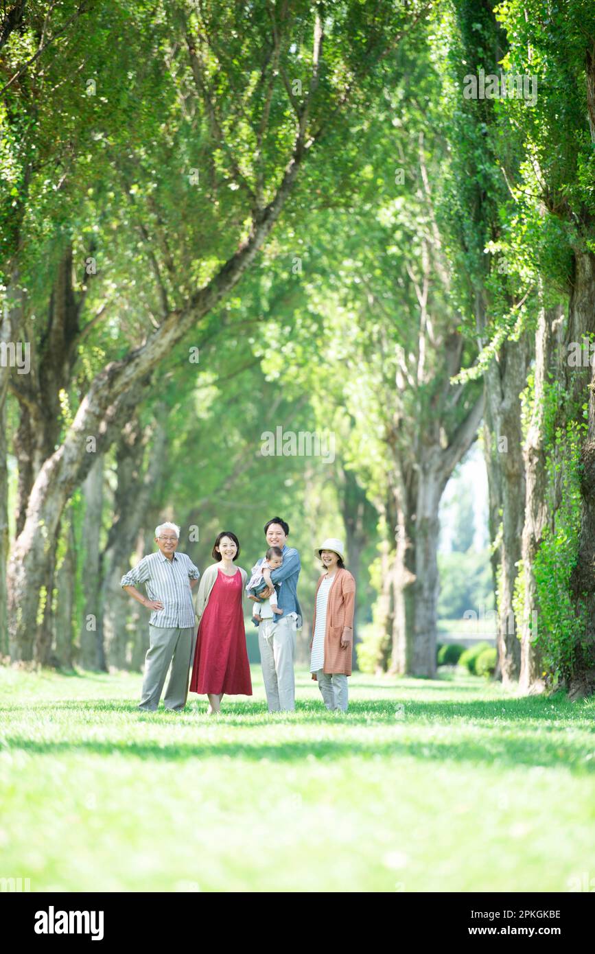 Family of three smiling at a row of poplar trees Stock Photo - Alamy