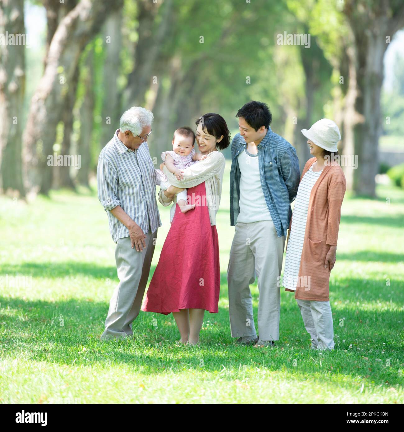 A family of three generations chatting in a row of poplar trees Stock ...