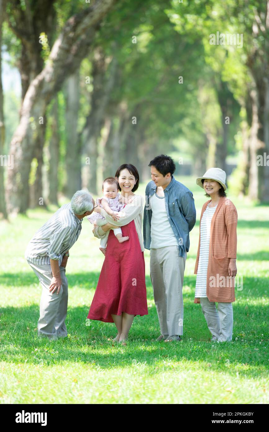 A family of three generations chatting along a row of poplar trees ...