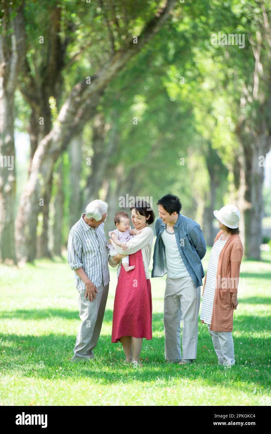 A family of three generations chatting at a row of poplar trees Stock ...
