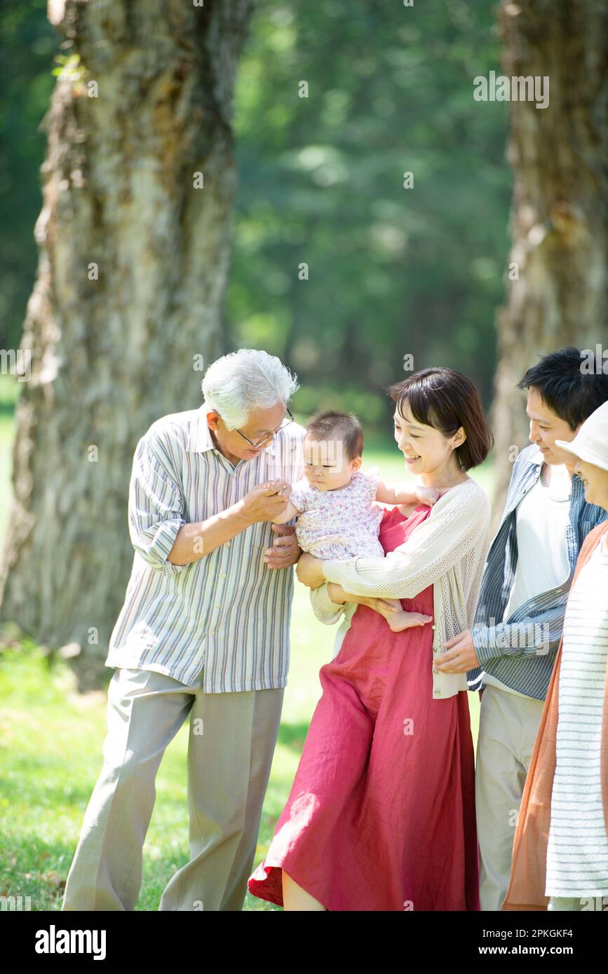 A family of three generations chatting at a row of poplar trees Stock ...