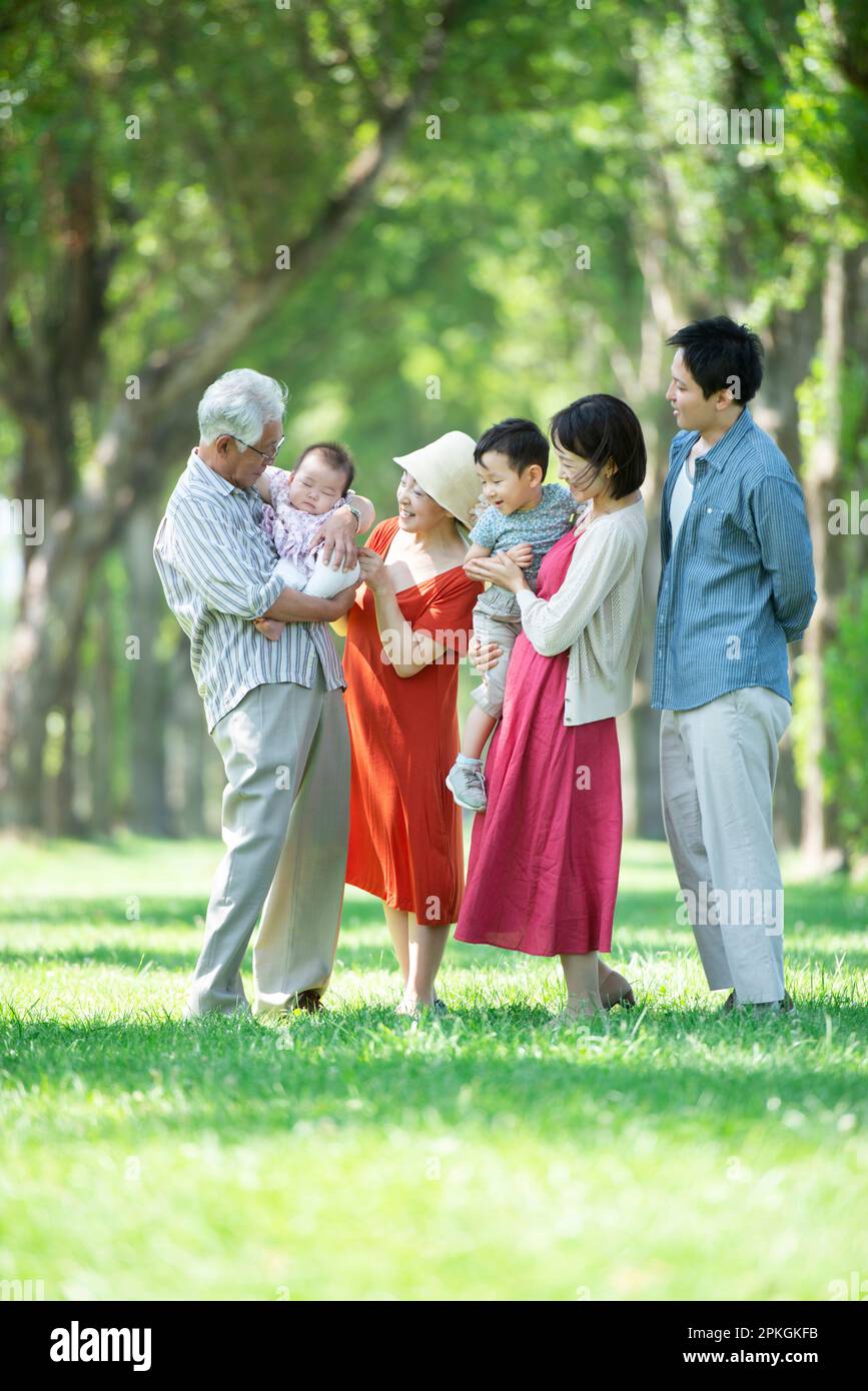 A family of three generations chatting at a row of poplar trees Stock ...