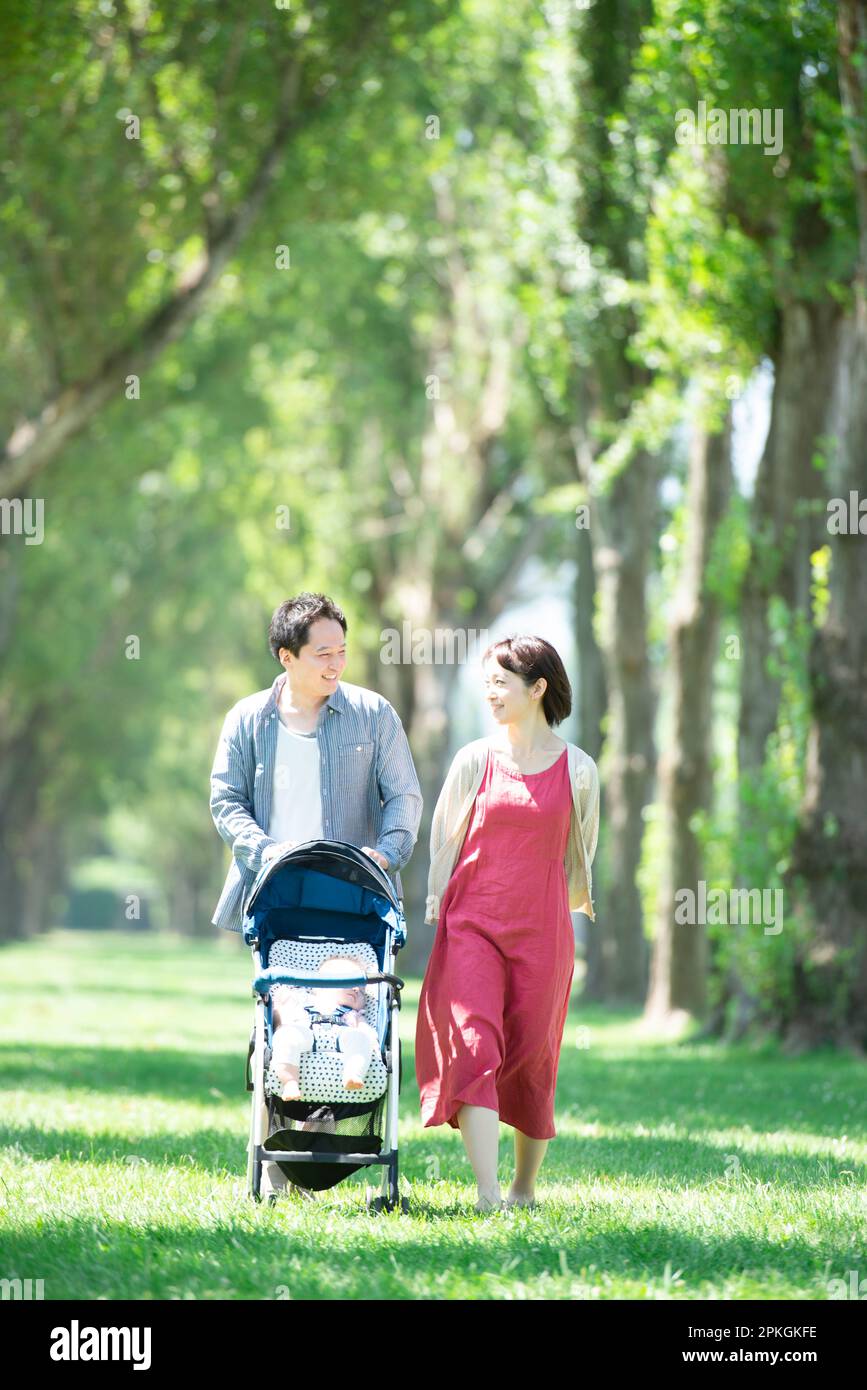 Family pushing a stroller alongside poplar trees Stock Photo - Alamy