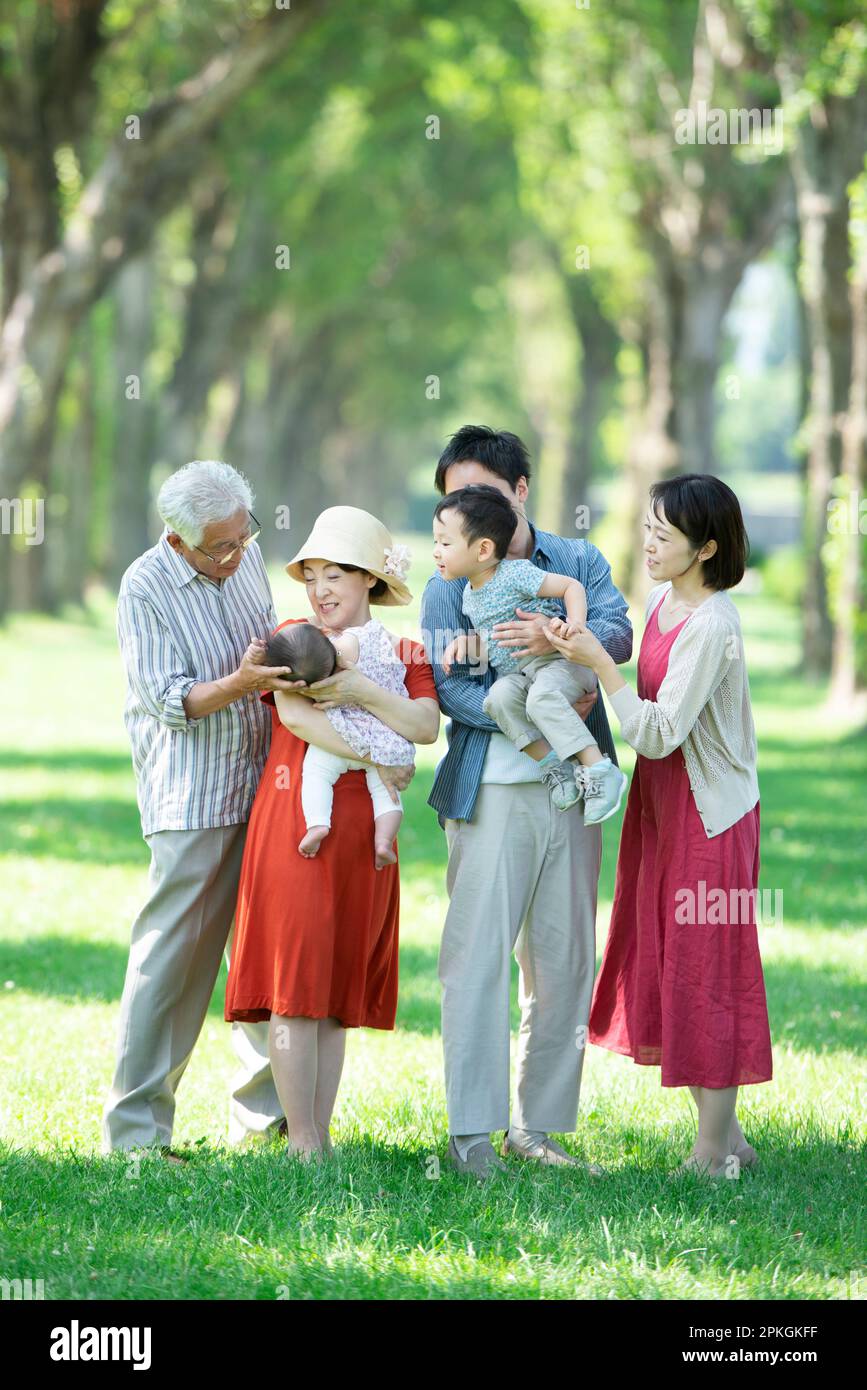 A family of three generations chatting at a row of poplar trees Stock ...