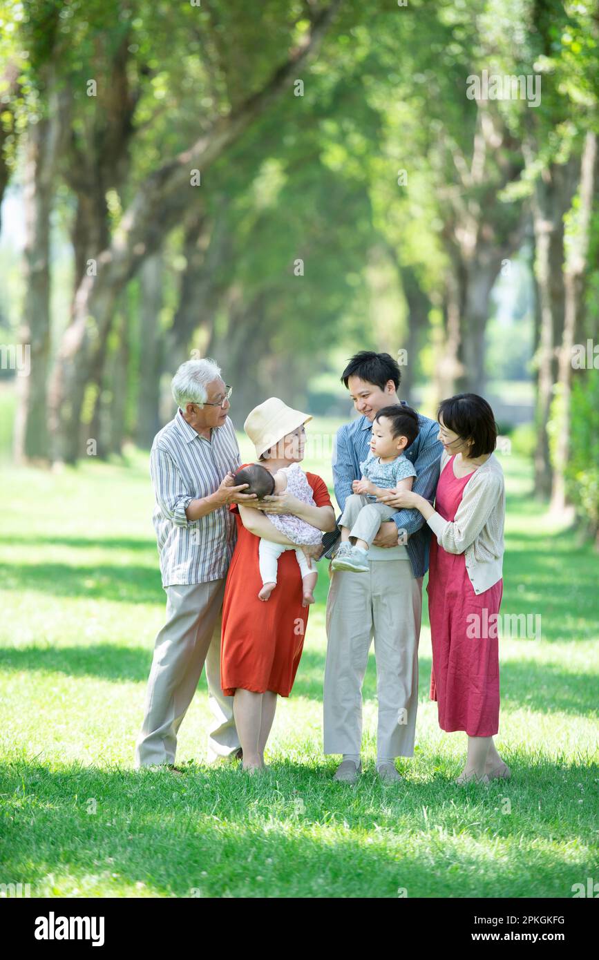 A family of three generations chatting at a row of poplar trees Stock ...