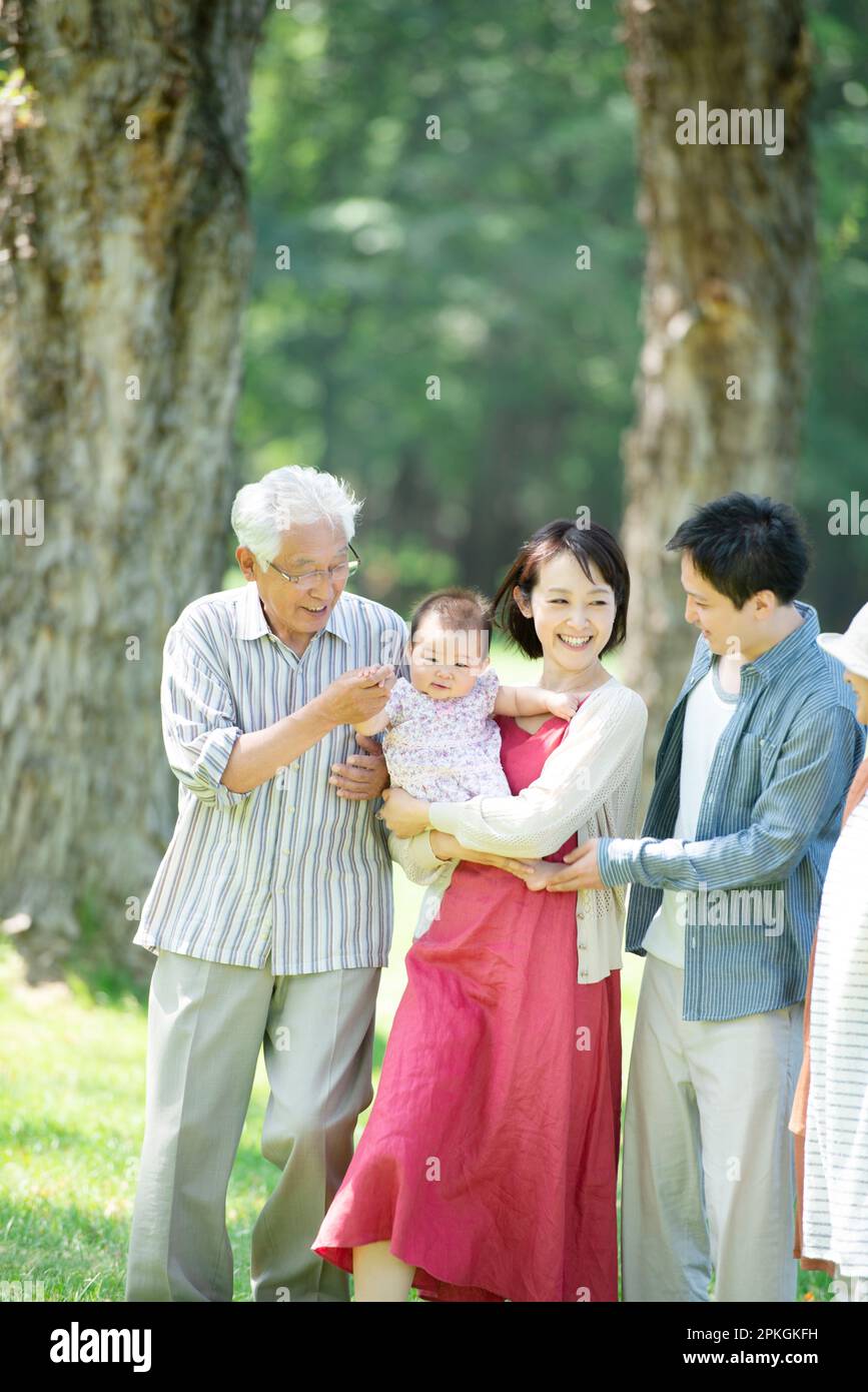 A family of three generations chatting at a row of poplar trees Stock ...