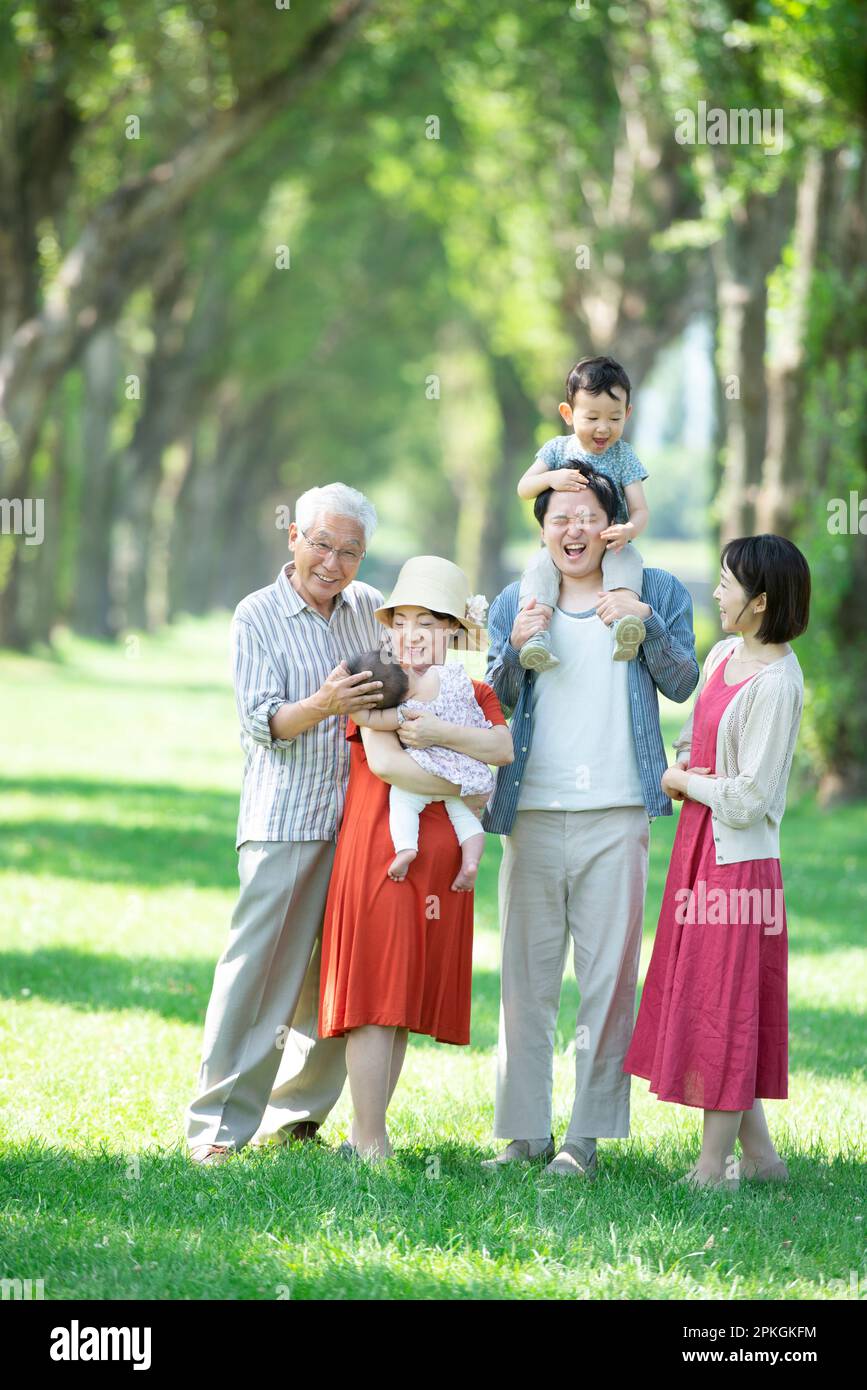 A family of three generations chatting at a row of poplar trees Stock ...