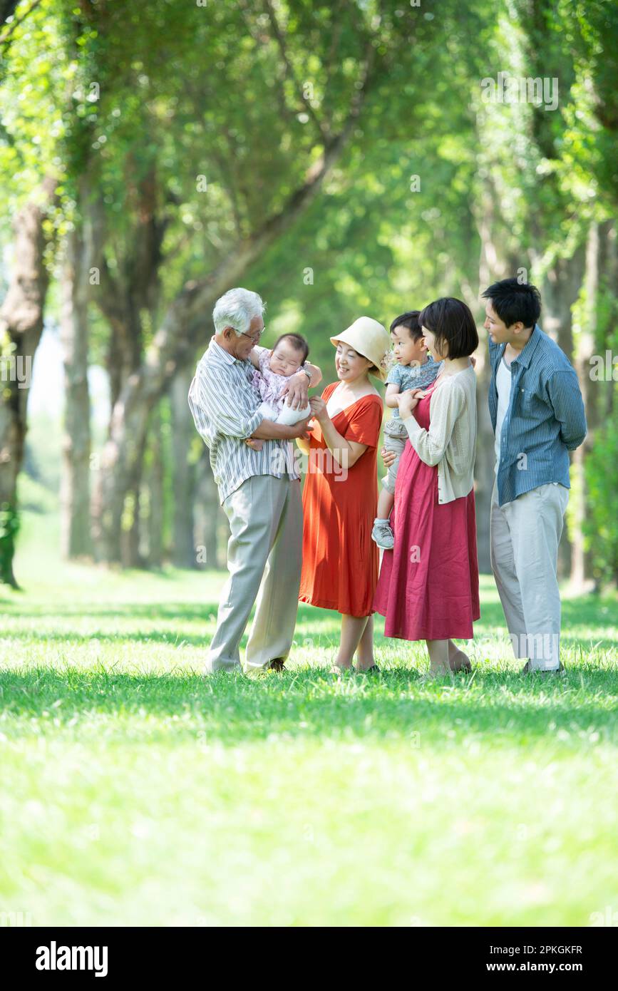 A family of three generations chatting in a row of poplar trees Stock ...
