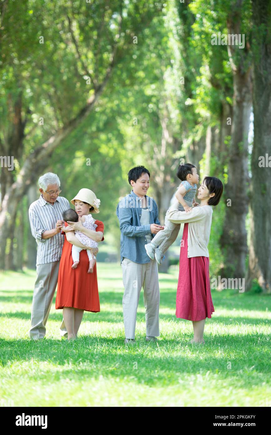 A family of three generations chatting in a row of poplar trees Stock ...