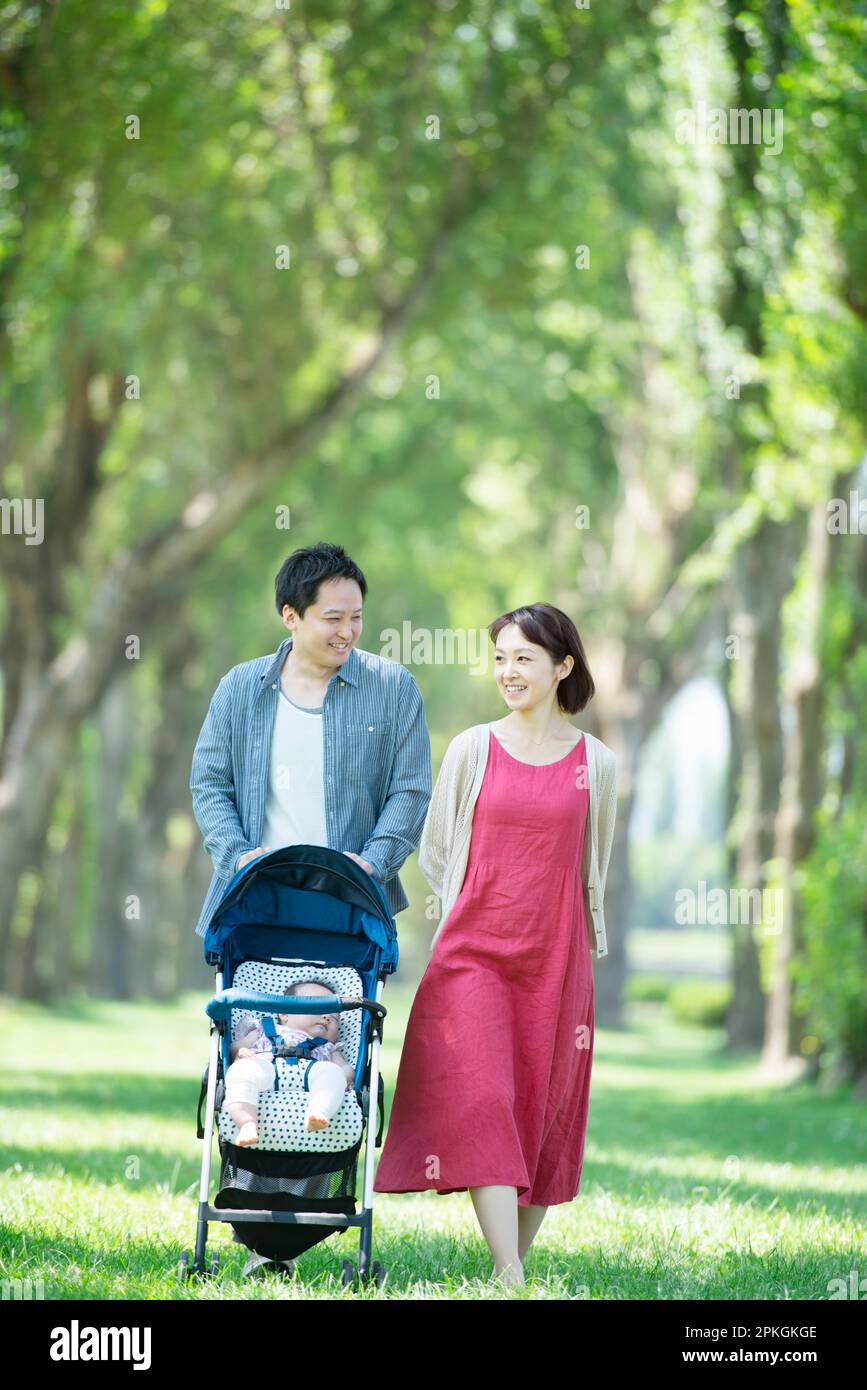 Family pushing a stroller alongside poplar trees Stock Photo - Alamy