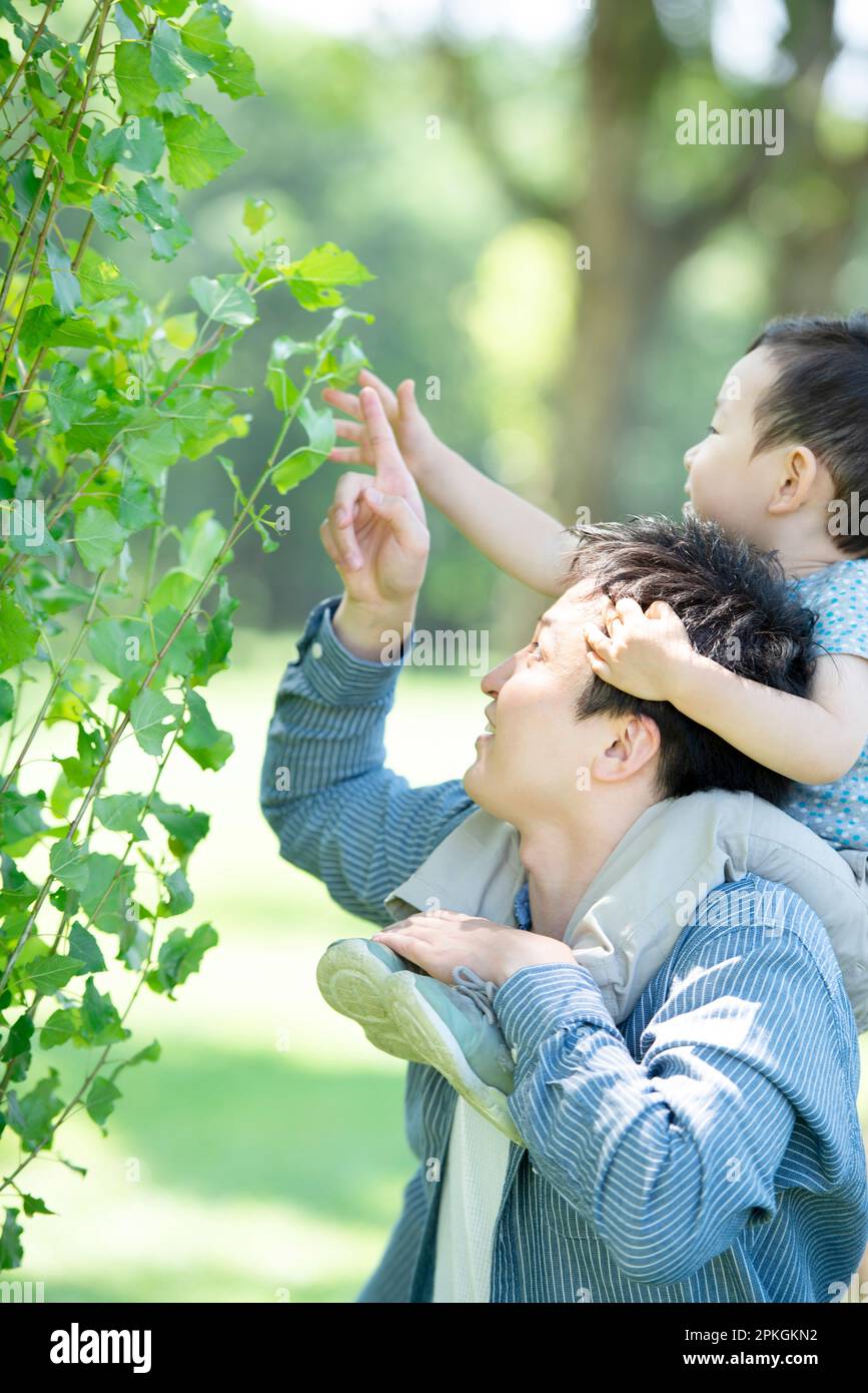 Parent and child observing a plant with a stroller Stock Photo - Alamy