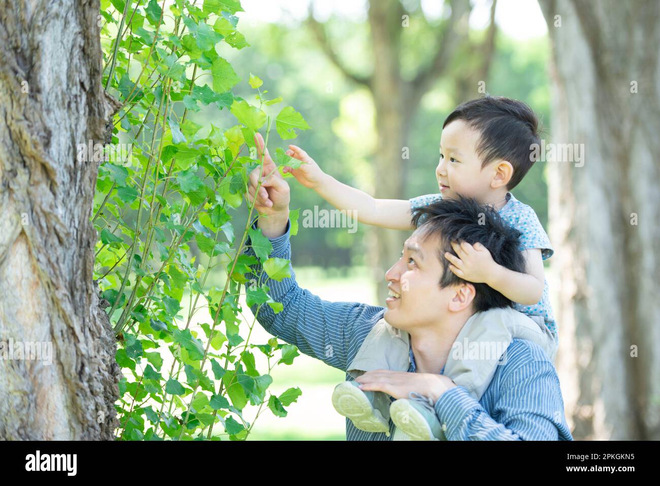 Parent and child observing a plant Stock Photo - Alamy
