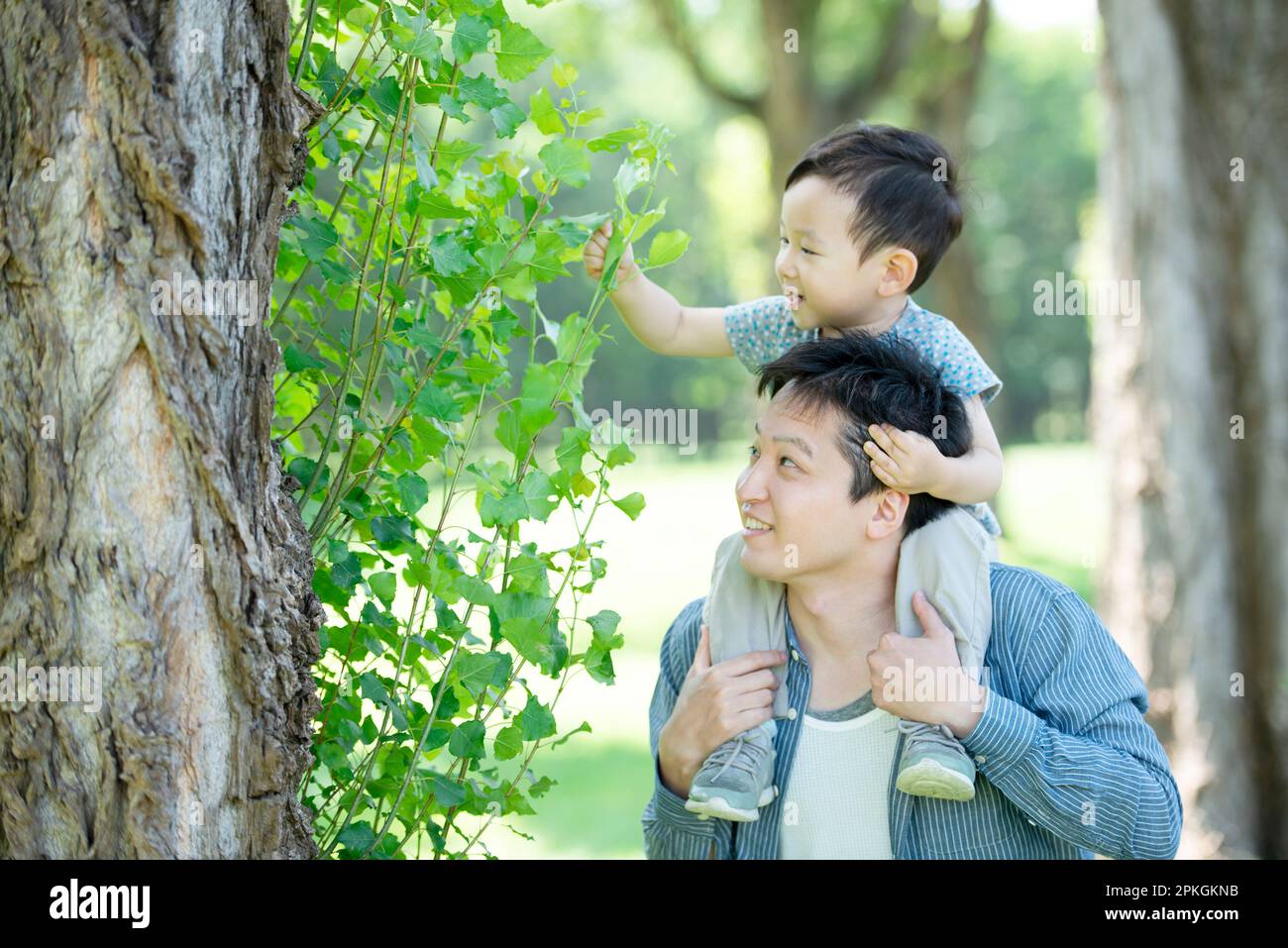Parent and child observing plants with a stroller on their shoulders ...