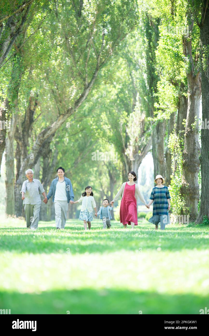 Three-generation family walking along a row of poplar trees Stock Photo ...