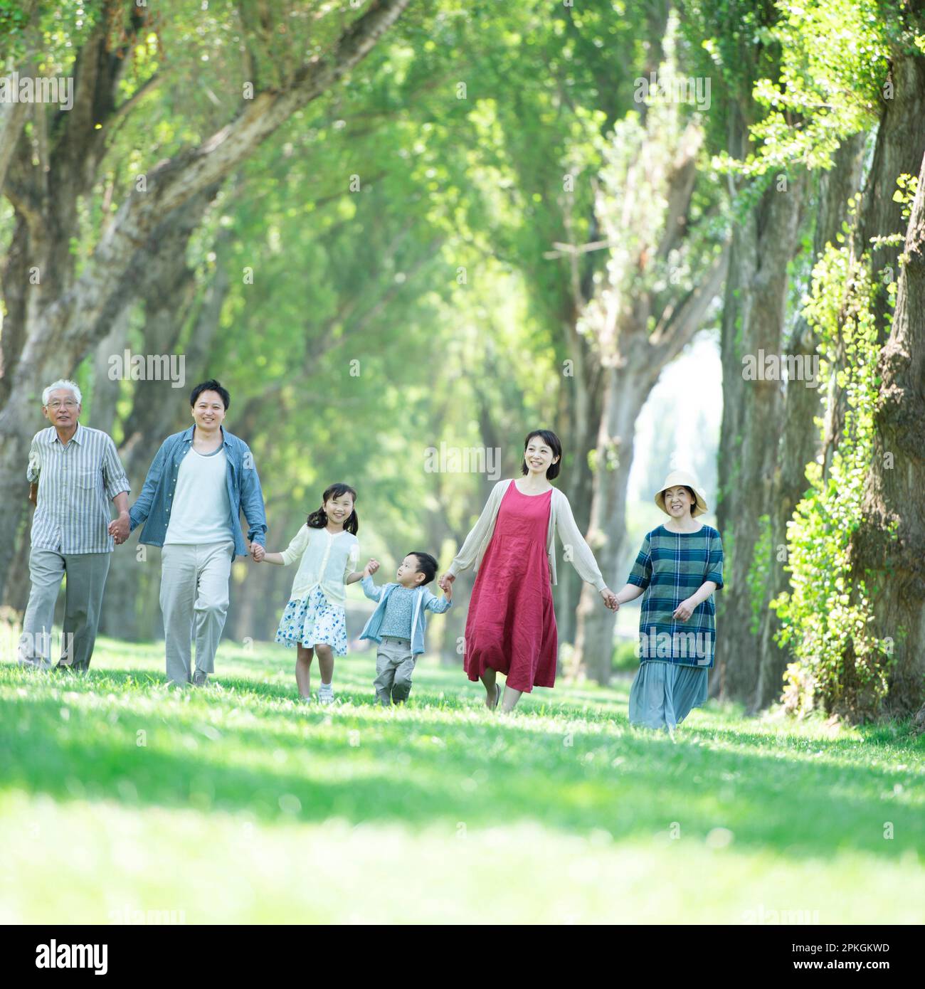 Three-generation family walking along a row of poplar trees Stock Photo ...