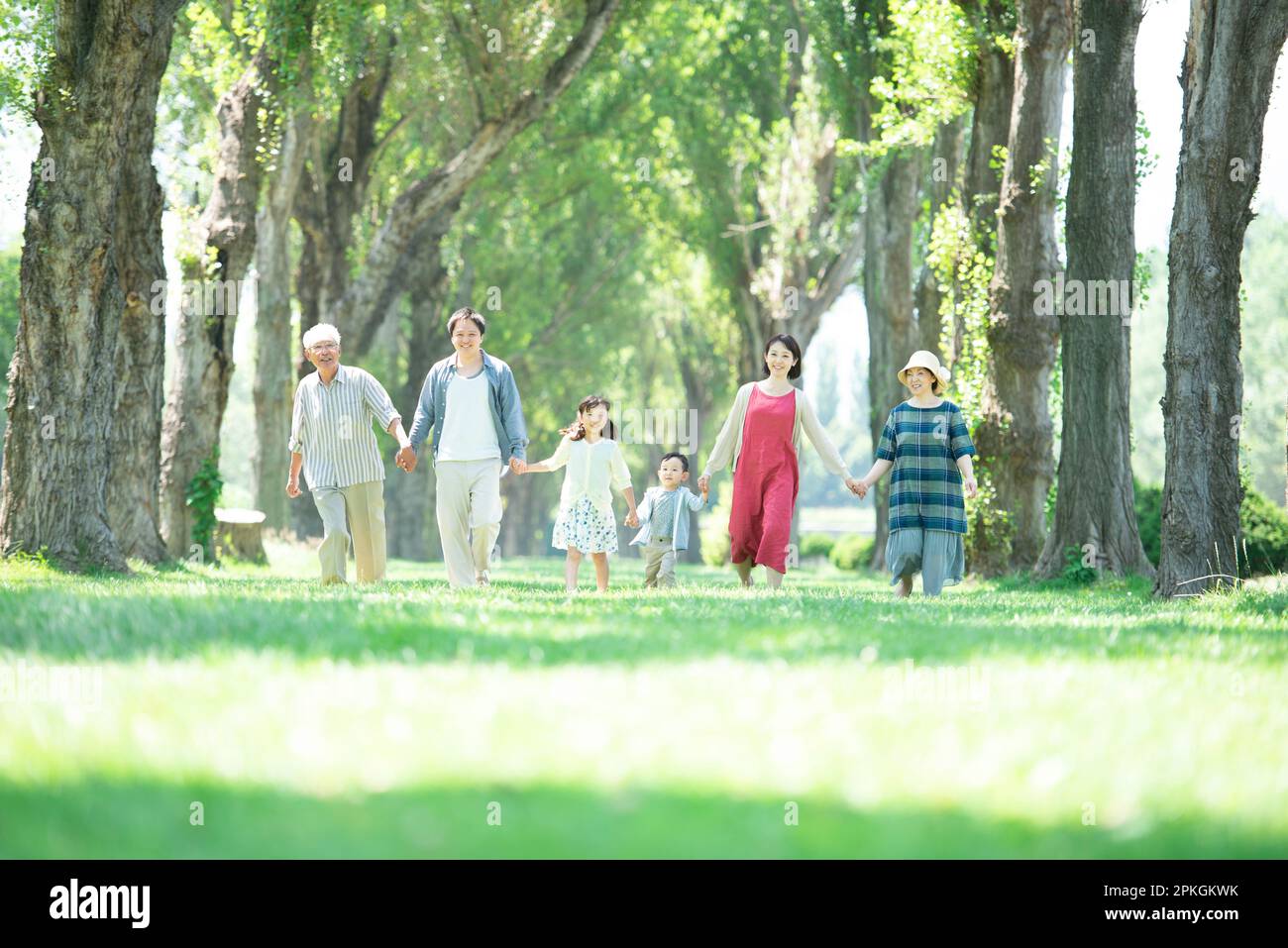 Three-generation family walking along a row of poplar trees Stock Photo ...