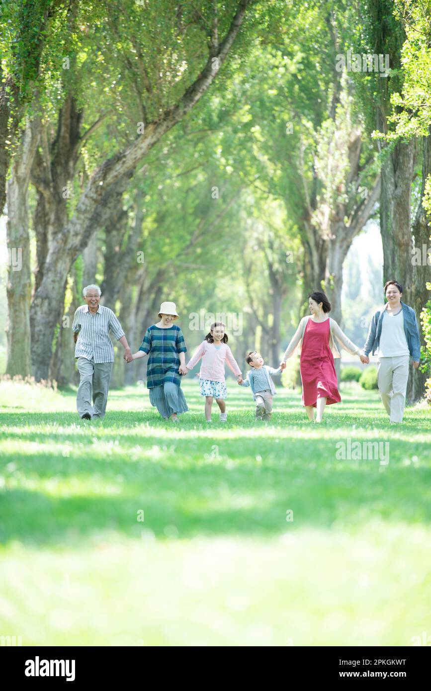 A family of three generations walking along the rows of poplar trees ...