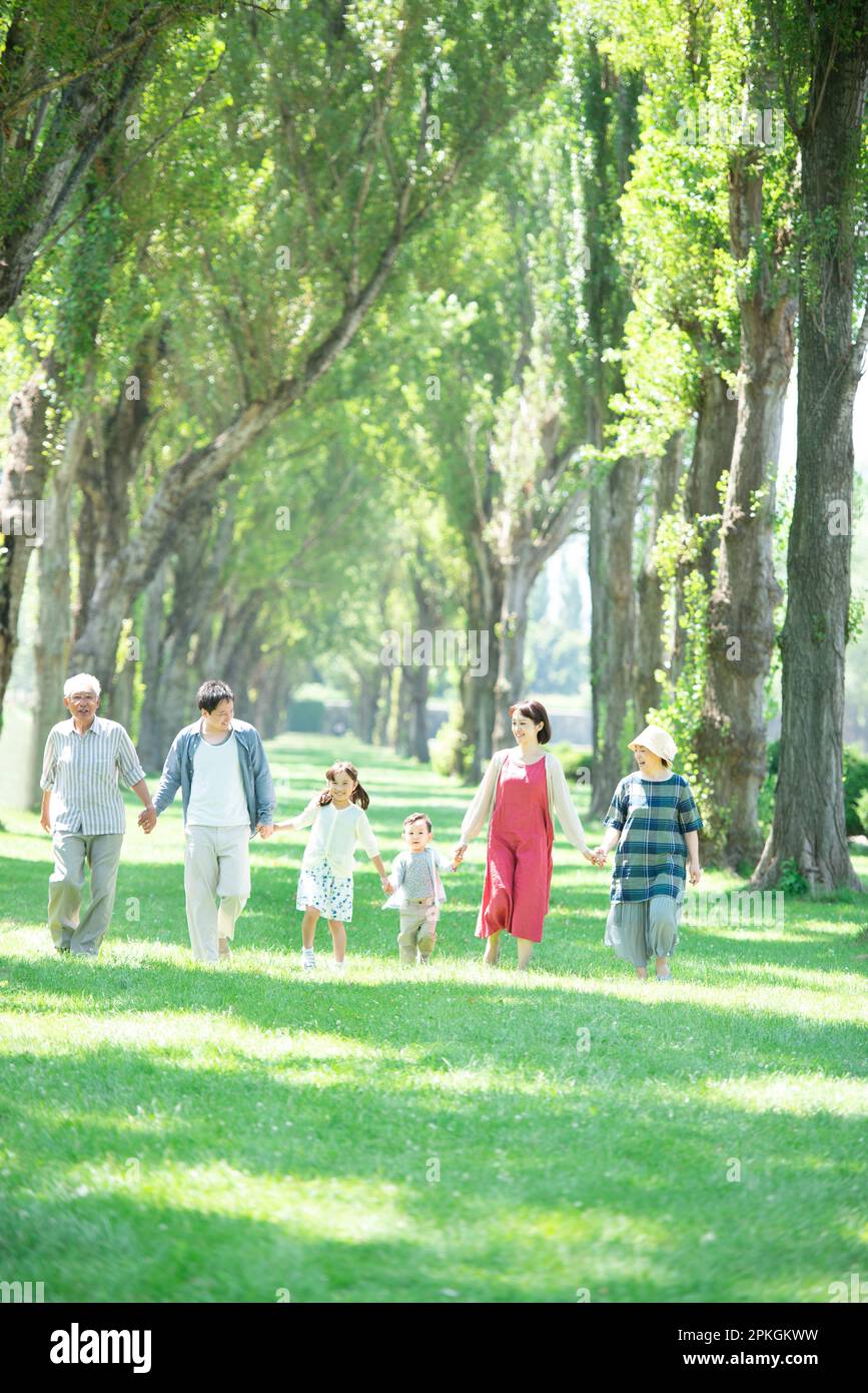 A family of three generations walking along a row of poplar trees Stock ...