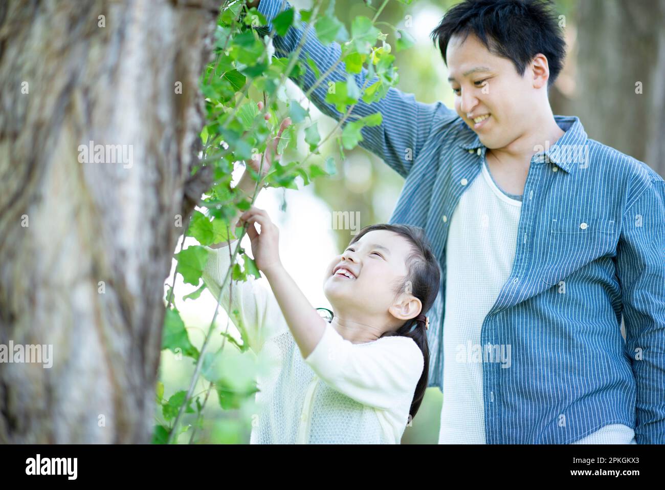 Parent and child observing a plant Stock Photo - Alamy