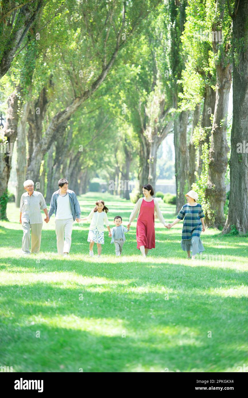 A family of three generations walking along a row of poplar trees Stock ...